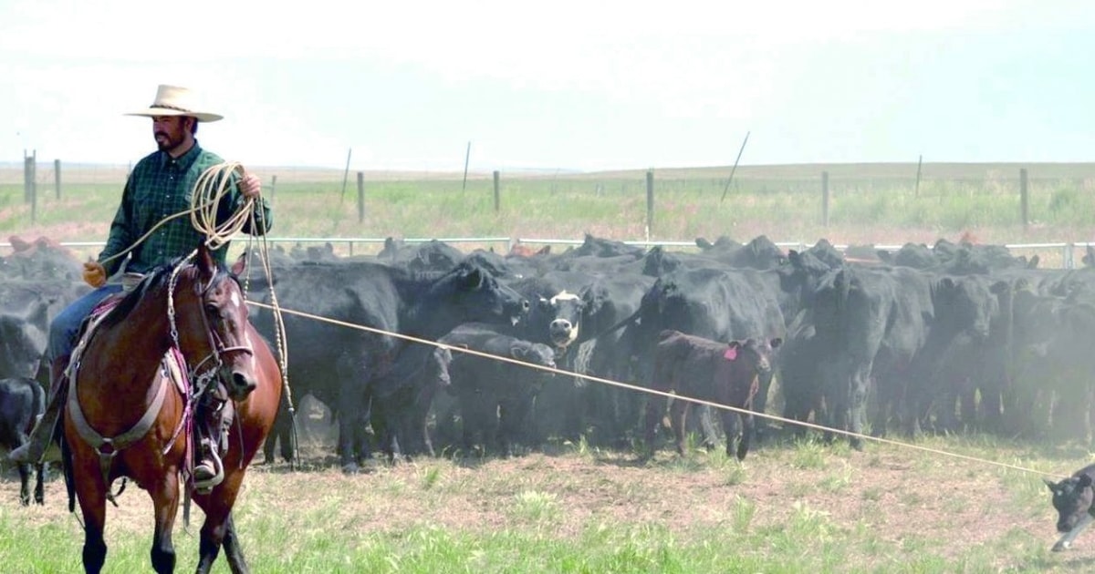 What Happened to Cowboy Ben Tyner? Family Plea (VIDEO)